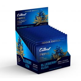 CUTLEAF FLOWER P 4.2G BLUE 10PK