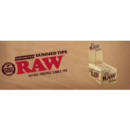 RAW TIPS GUMMED PERFORATED 24CT